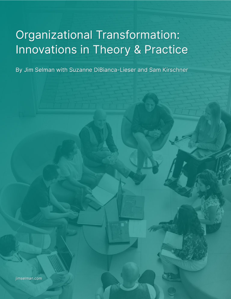 Organizational Transformation: Innovations in Theory & Practice (PDF)