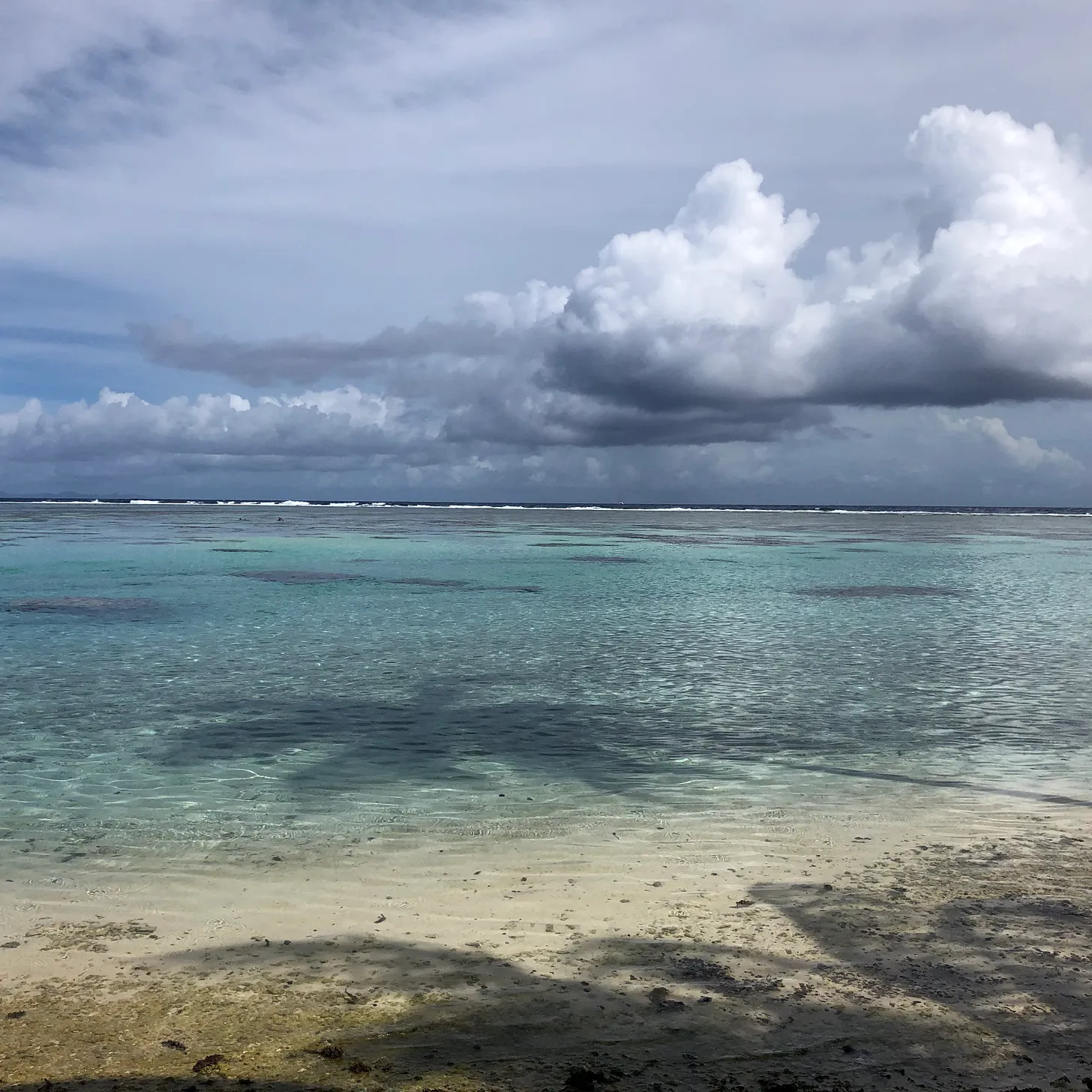 Serene Ambition - by Jim Selman with Shae Hadden